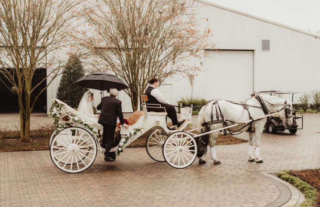 World Equestrian Center Wedding Venue in FL - Cost & More - Wedding ...